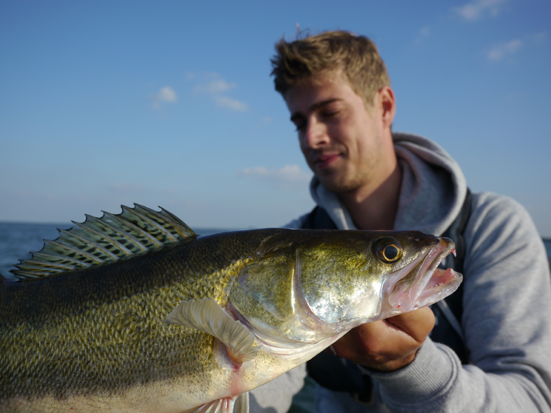 dustin-zander | Barsch-Alarm | Barsch-Alarm - das größte Angelforum für ...