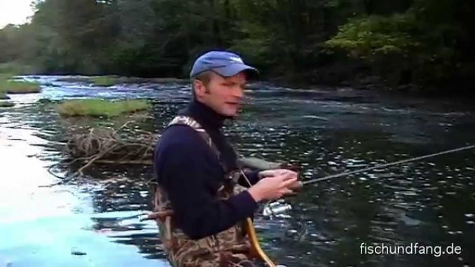 Mit Jan Lock am Bach | Barsch-Alarm | Barsch-Alarm - das größte ...