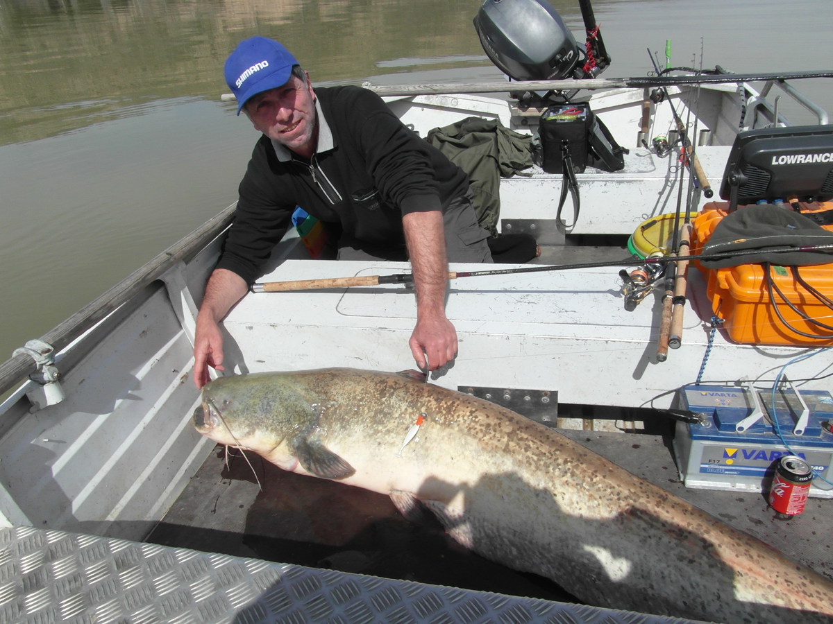 hans-wels | Barsch-Alarm | Barsch-Alarm - das größte Angelforum für ...